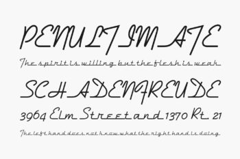 Dymaxion Script | Fonts Shmonts