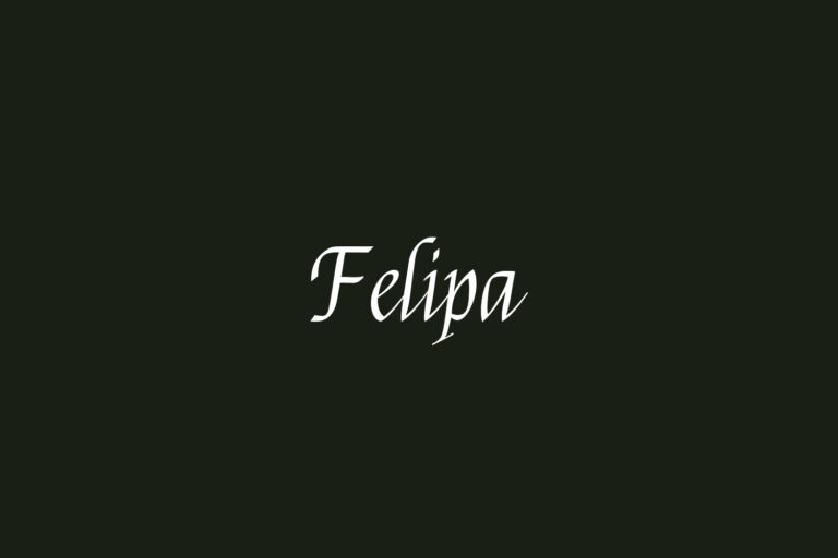 Felipa | Fonts Shmonts