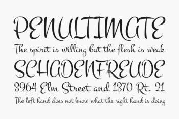 Montez | Fonts Shmonts