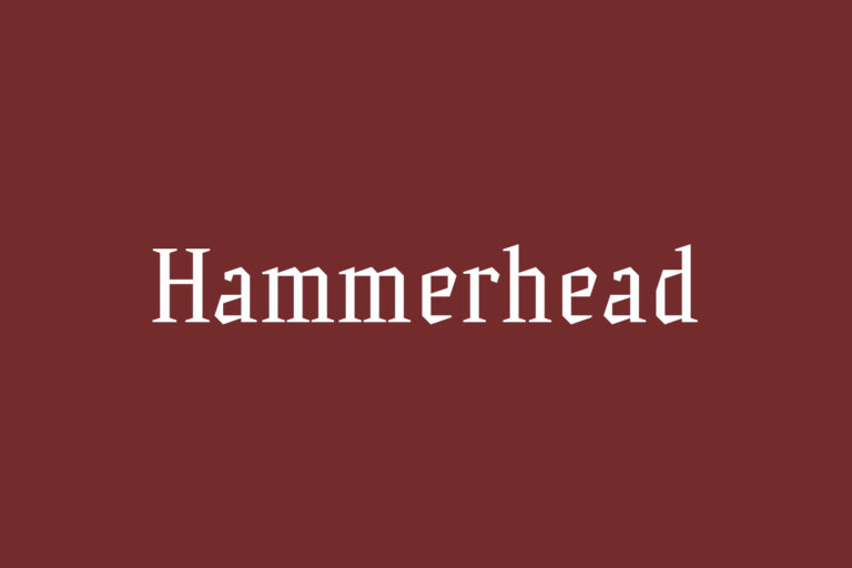 Hammerhead | Fonts Shmonts