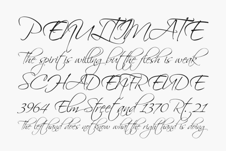 Scriptina Pro | Fonts Shmonts