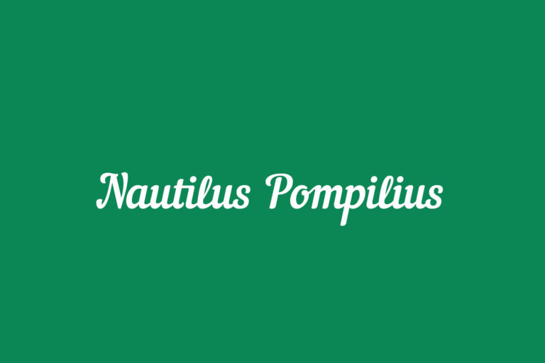 Nautilus Pompilius | Fonts Shmonts