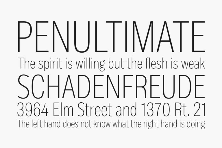 Body | Fonts Shmonts