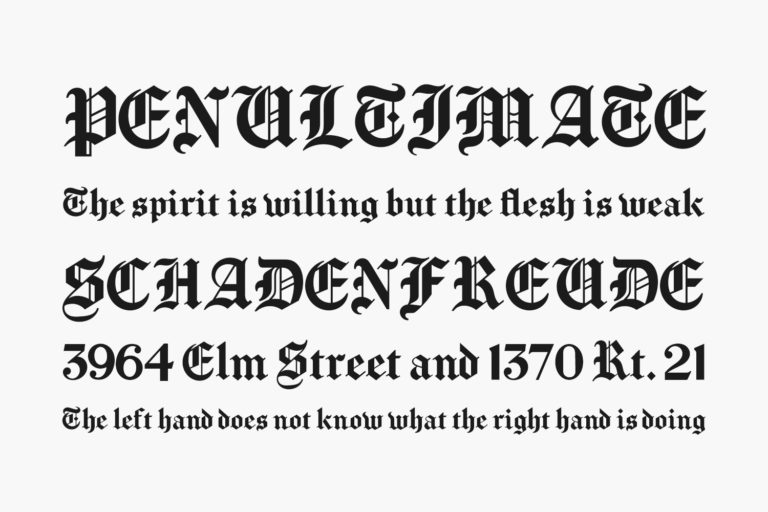 Chomsky | Fonts Shmonts