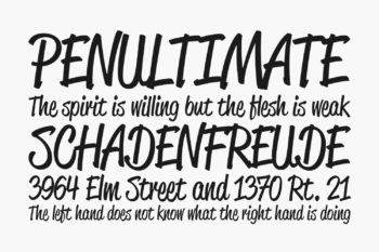 Reklame Script | Fonts Shmonts