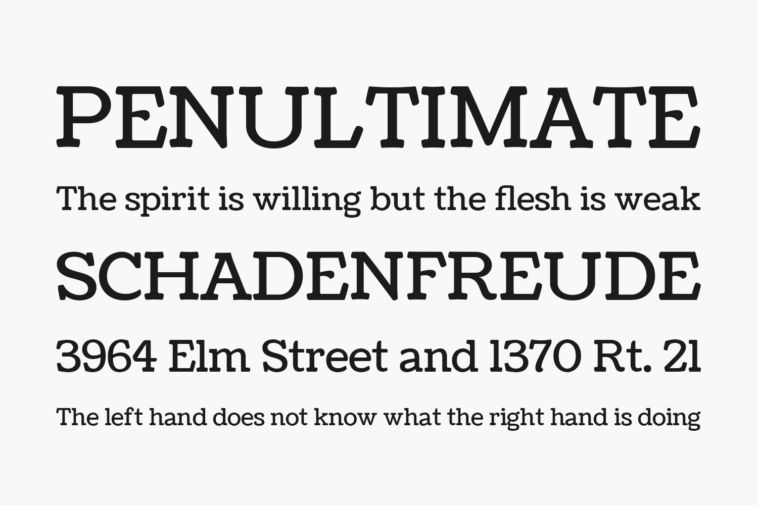 Coustard | Fonts Shmonts