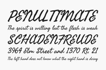 Seaweed Script | Fonts Shmonts