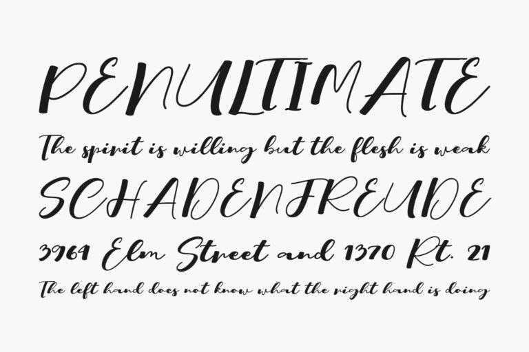 Rich | Fonts Shmonts