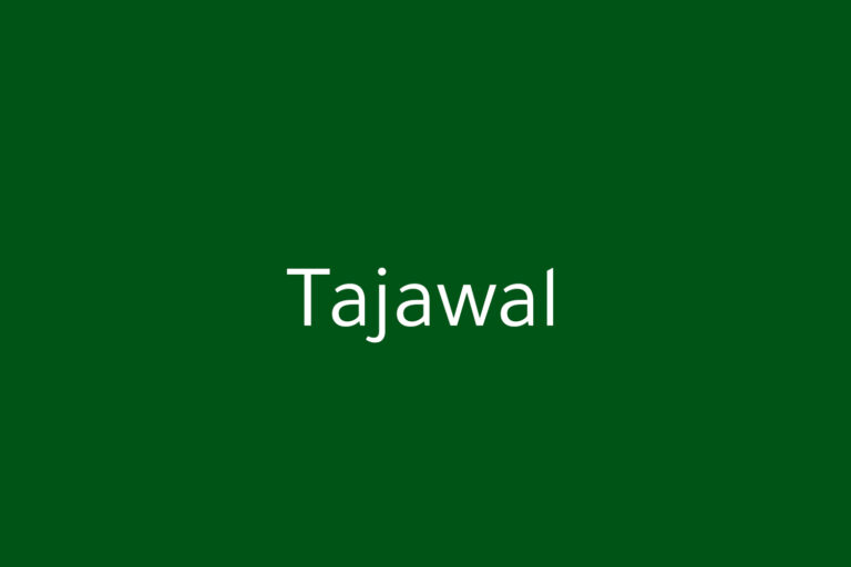 Tajawal | Fonts Shmonts