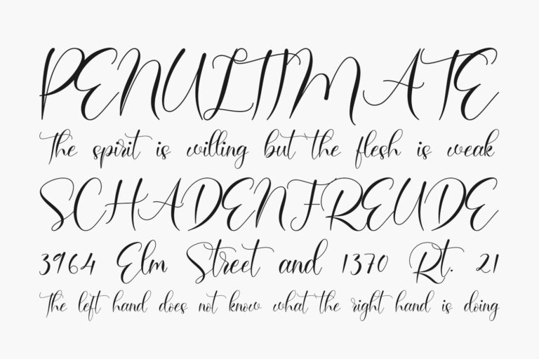 Bailey | Fonts Shmonts