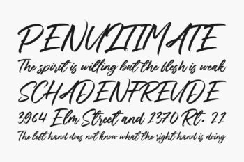 Daily Planet | Fonts Shmonts