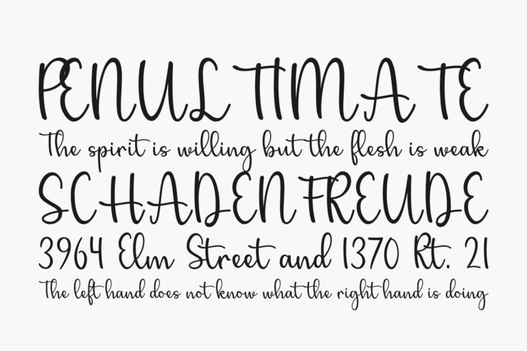 Honey | Fonts Shmonts