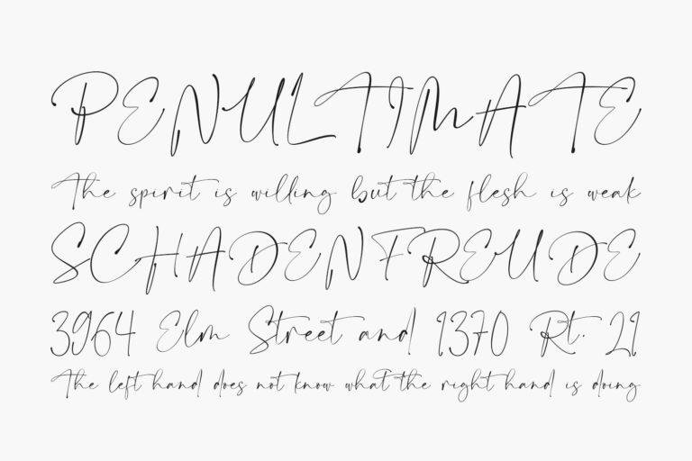 Dream Catcher | Fonts Shmonts