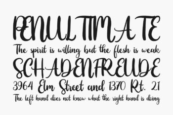 Highlight | Fonts Shmonts