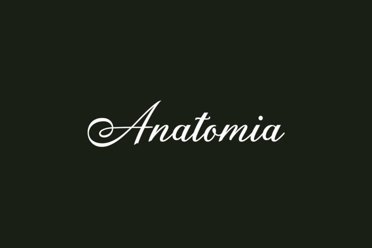 Anatomia | Fonts Shmonts