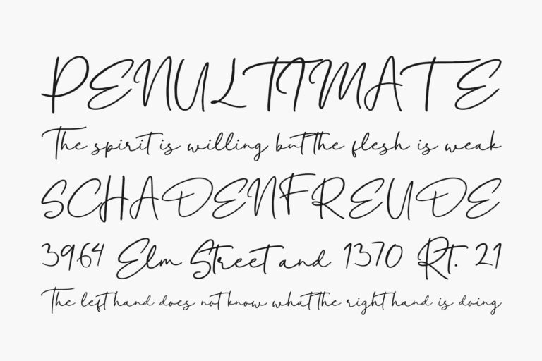 Eleanor | Fonts Shmonts