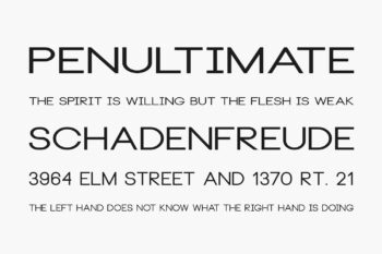 Neou | Fonts Shmonts