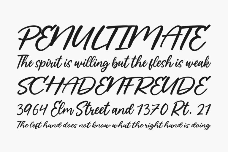 Palace | Fonts Shmonts