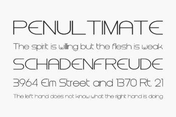 Steiner | Fonts Shmonts