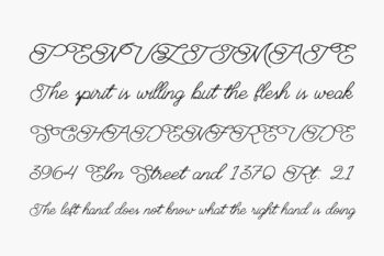 Brayden Script | Fonts Shmonts