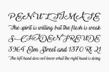 Vampire Calligraphy | Fonts Shmonts