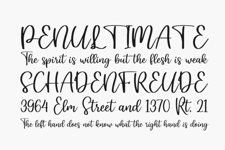 Hey Butterfly | Fonts Shmonts