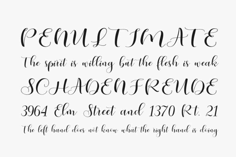 Ladies Script | Fonts Shmonts