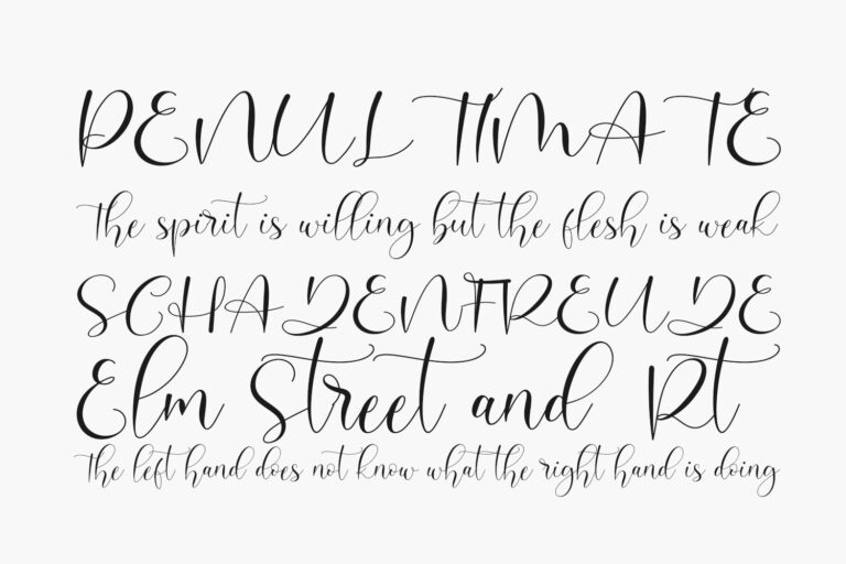 Laila | Fonts Shmonts