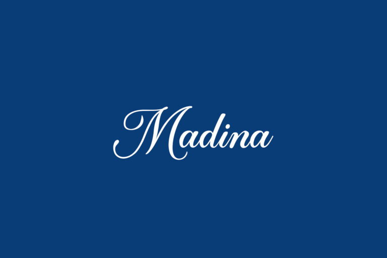 Madina | Fonts Shmonts