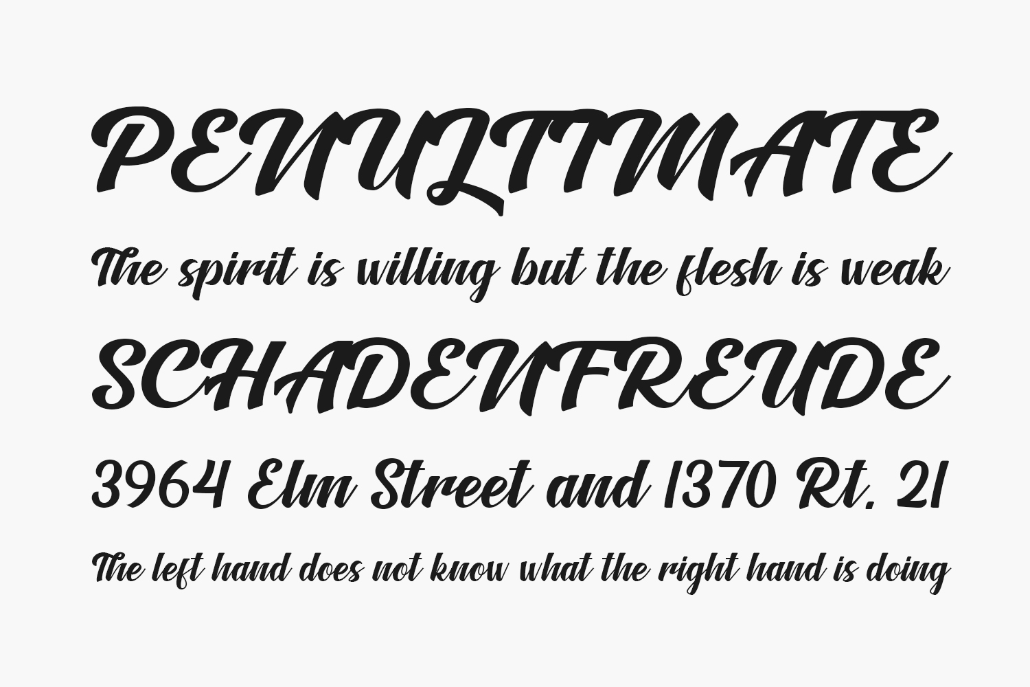 madison-script-free-font-02 | Fonts Shmonts