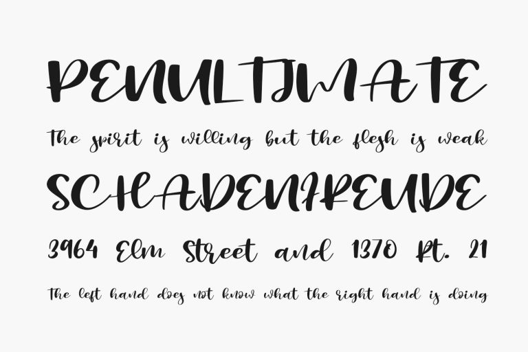 Millenial Script | Fonts Shmonts