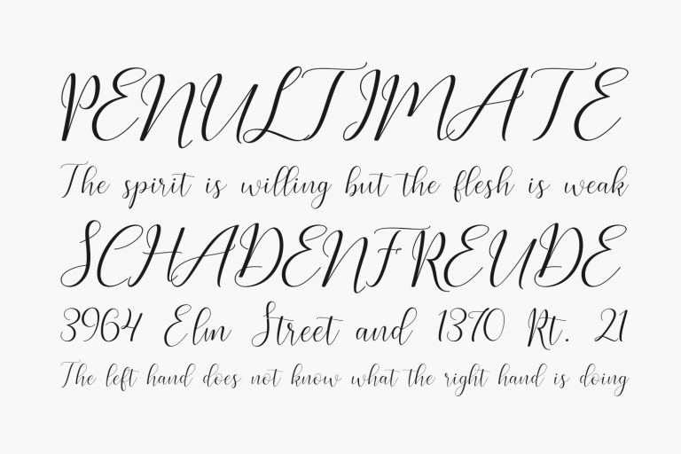 Nostalgia Script | Fonts Shmonts