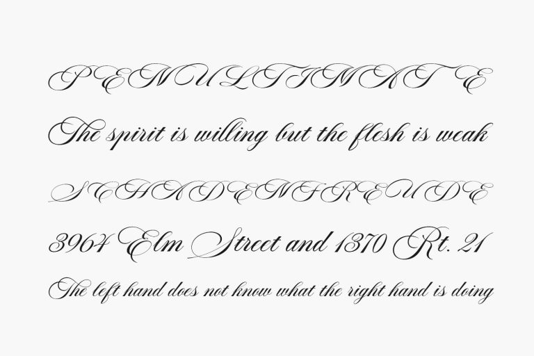 Aston Script Pro | Fonts Shmonts