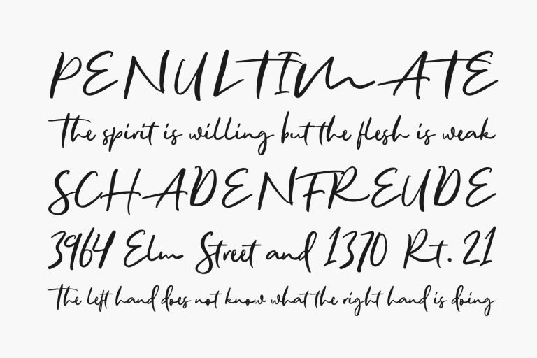 Allison Style | Fonts Shmonts