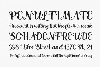 Joseph Sophia | Fonts Shmonts