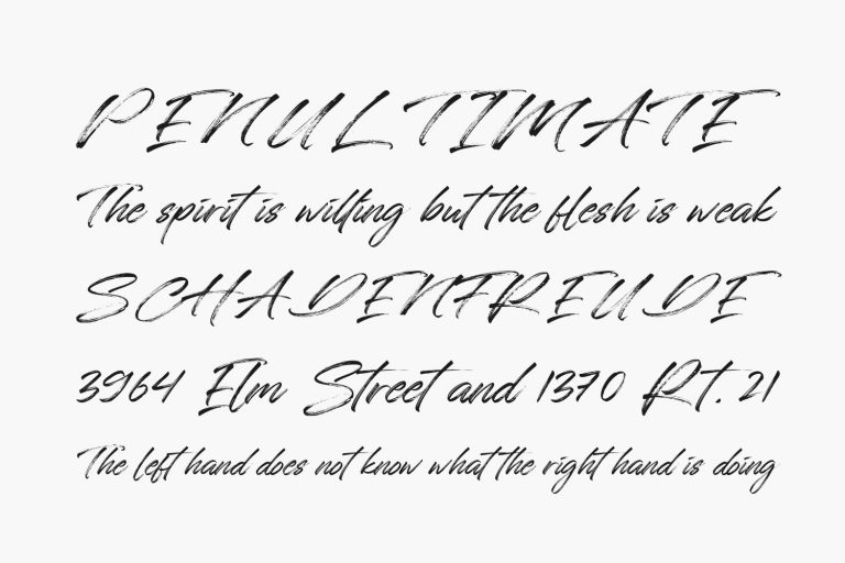 Automobile Contest | Fonts Shmonts