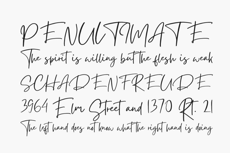 Gistesy | Fonts Shmonts