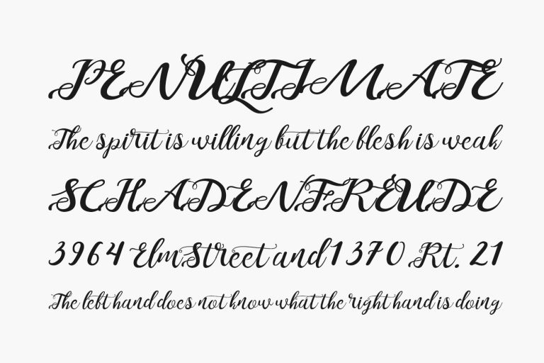 Noelan | Fonts Shmonts