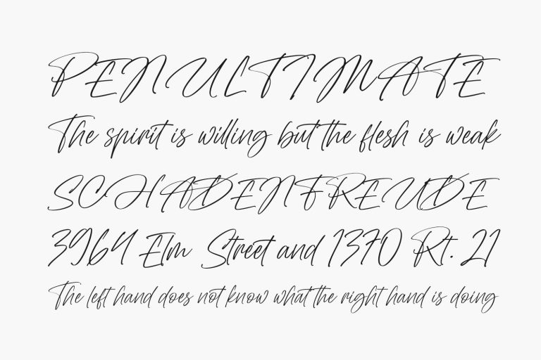 Abu Dhabi | Fonts Shmonts