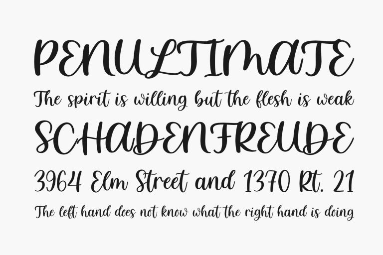 Bernadette | Fonts Shmonts