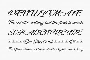 Ananda | Fonts Shmonts