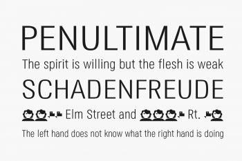 Jane Roe | Fonts Shmonts