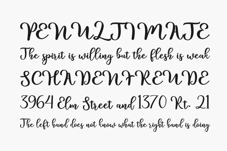 Kinsley | Fonts Shmonts