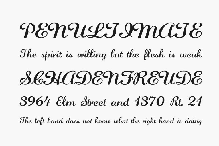 Lauren Script | Fonts Shmonts