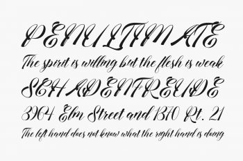 Medina | Fonts Shmonts
