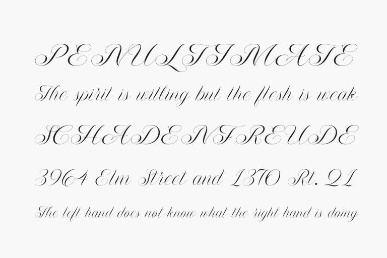 Flourish | Fonts Shmonts