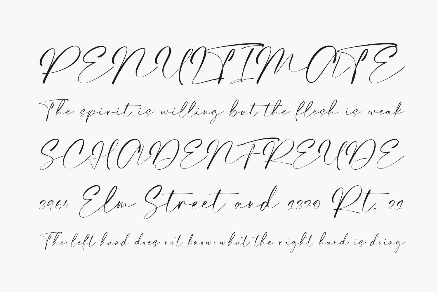 Elegant Signature | Fonts Shmonts Elegant Signature | Fonts Shmonts