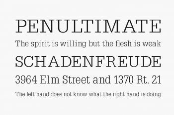 Napoleon | Fonts Shmonts