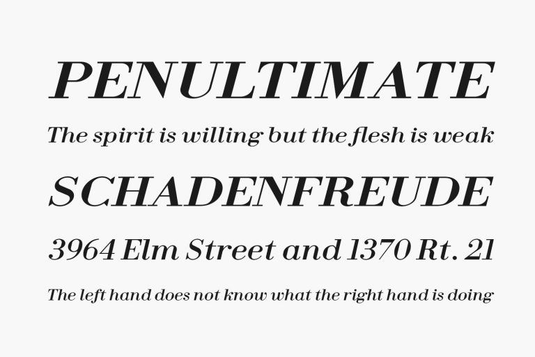 Fin Serif Display | Fonts Shmonts