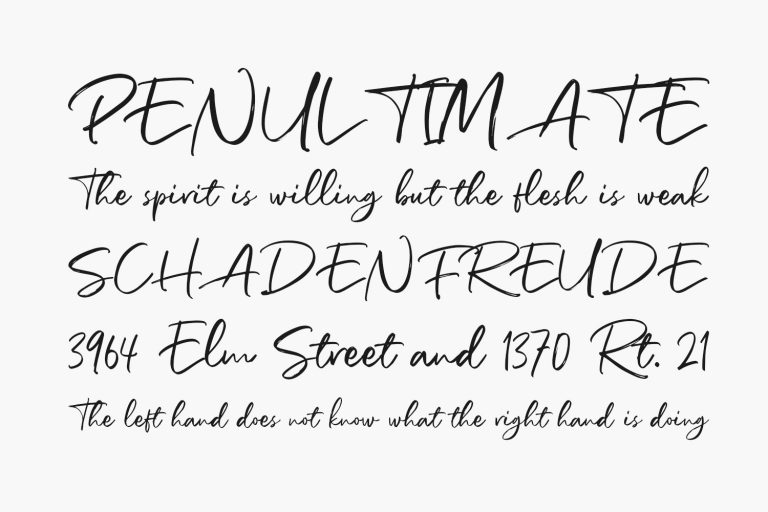 Richardson Script | Fonts Shmonts